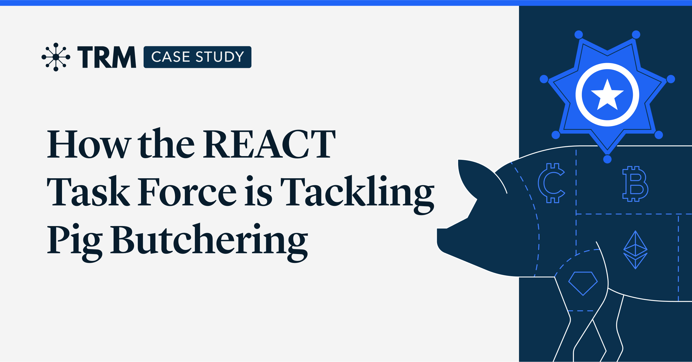 How the REACT Task Force is tackling pig butchering | TRM Labs